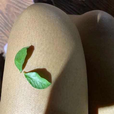 Shweata Seth Look Whos Peeking For The Frame Instagram