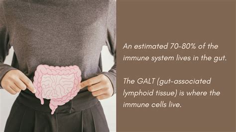 The Thyroid And Gut Connection Restorative Health Solutions