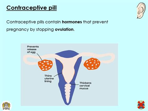 Contraception Ks3 Activate Biology Teaching Resources