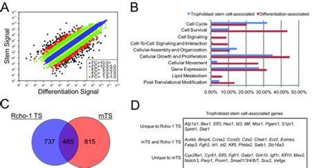 Analysis Of Microarray Data A Scatter Graph Showing The Signal