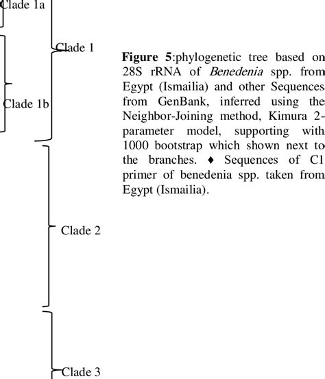 showning sequence identity matrix of the benedenia sp query sample download scientific