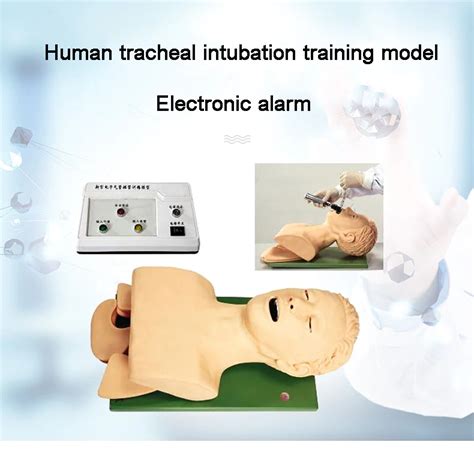 3d Human Electronic Endotracheal Intubation First Aid Training Model With Tooth Compression