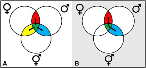 Intersections Of The Diagram Represent Mating Systems With That Download Scientific Diagram