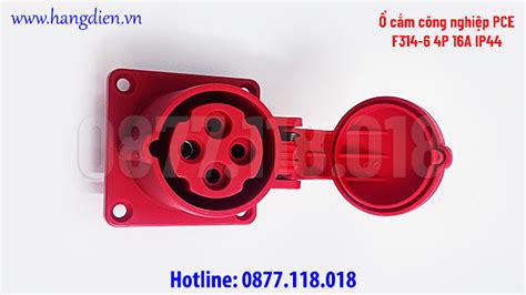 Ổ Cắm Công Nghiệp Pce F314 6 4p 16a Ip44 Tổng Hợp Thiết Bị Điện