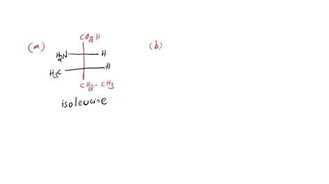 Solved Tutorial Shown Below Is The Structure Of The Amino Acid Isoleucine Draw Isoleucine In