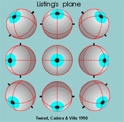 Eye Kinematics Monash Robotics Monash Engineering