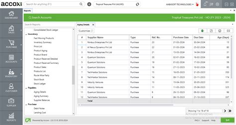 Payables Aging Details Report Accounting Software Accoxi