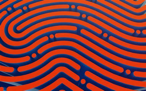 Biometrics Identity Verification System Explained