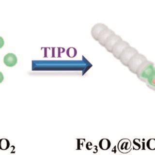 SEM And TEM Images A SEM Images Of Fe3O4 Nanoparticles B TEM Download Scientific Diagram
