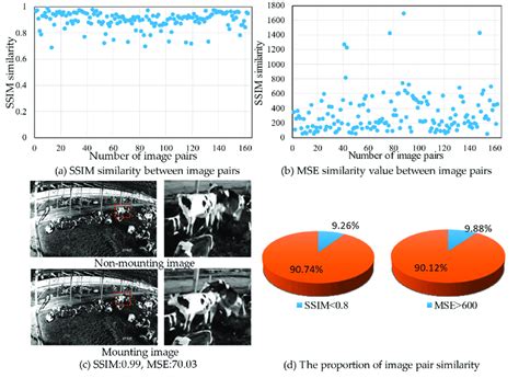 Similarity Calculation Results Between Image Pairs Download Scientific Diagram