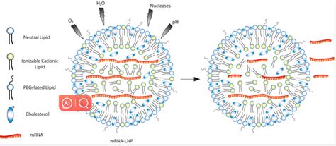 可电离脂质的应用RNA 递送 日本和光纯药WAKO