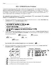 Understanding Sex Linked Inheritance In Genetics Course Hero