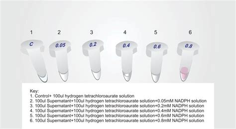 Kinetic Analysis Of Drug Release A Zero Order Kinetics B Download Scientific Diagram