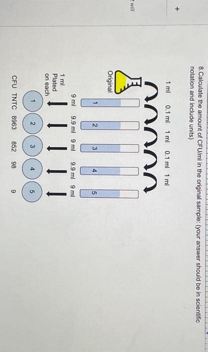 Solved T Will 8 Calculate The Amount Of Cfu Ml In The