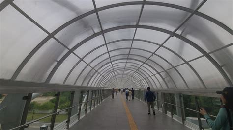 혼란스러운 시대에 살아갈 대책 하나쯔음 필요하다 그래야 안전하게 살 것 같다 나의 힘 나의 무기를 만들어야 험한 세상 헤쳐 나갈 수 있다 Youtube