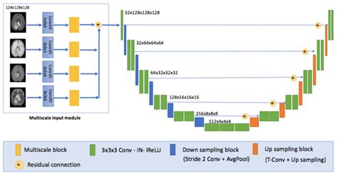 proposed multiscale input u net a modified 3d u net architecture with
