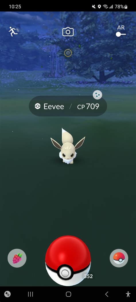 Another Shiny Eevee R Pokemongo