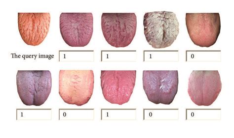 retrieval based on improved edge histogram download scientific diagram