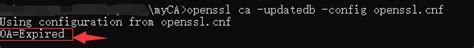Openssl命令行:自建caand操作crl 哔哩哔哩 Openssl命令行:自建caand操作crl 哔哩哔哩