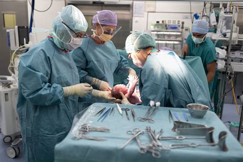 Caesareans Do Not Guarantee Better Sex After Delivery Says Swiss Study SWI Swissinfo Ch