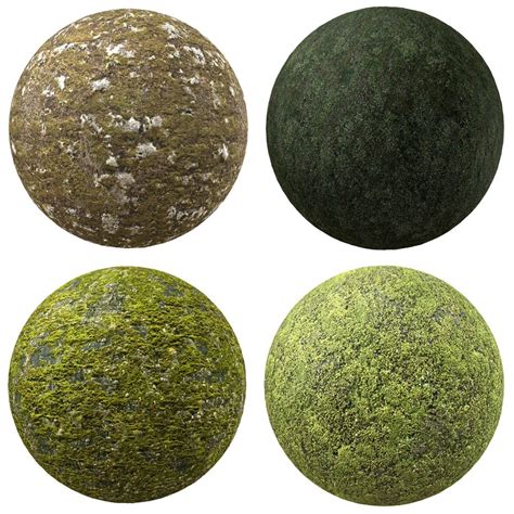 Moss Texture 3d Model For