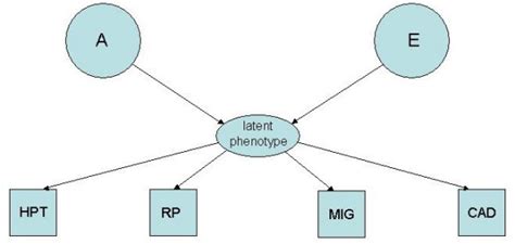 The Common Pathway Model Diagram Of The Common Factor Pathway In Which Download Scientific