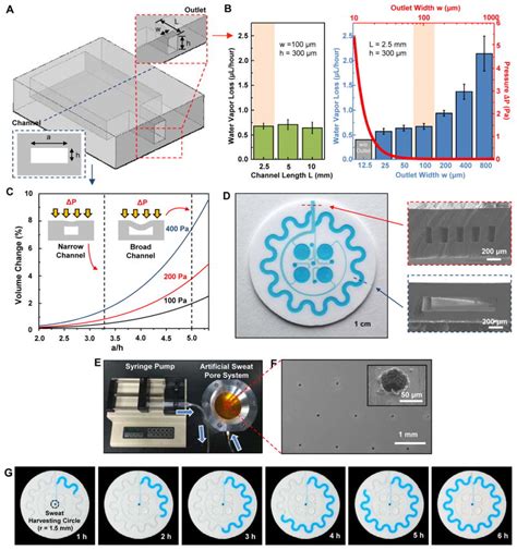A Soft Wearable Microfluidic Device For The Capture Storage And Colorimetric Sensing Of Sweat