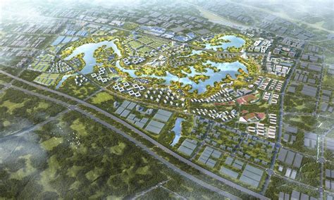 重视履约 争创一流中建八局金漪湖科创智造平台重大基础设施项目建设正当时中国网海峡频道