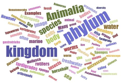 Kingdom Animalia Different Phylum And Their Examples Rs Science