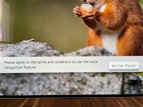 How Do I Stop This From Popping Up Randomly I Dont Want To Use Any Voice Features R Oled Gaming