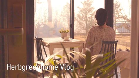 🌱소소한 일상으로 채워 가는 아늑한 집 ㅣ 활기를 주는 아침 루틴 Youtube