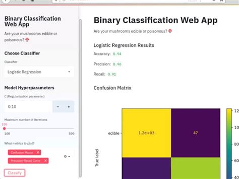 Build A Machine Learning Web App With Streamlit And Python