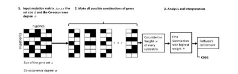 Illustrates The Steps Of Our Exact Algorithm Download Scientific Diagram