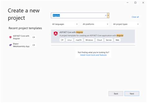 Custom Datetime Model Binding With Net And Angular Phrase