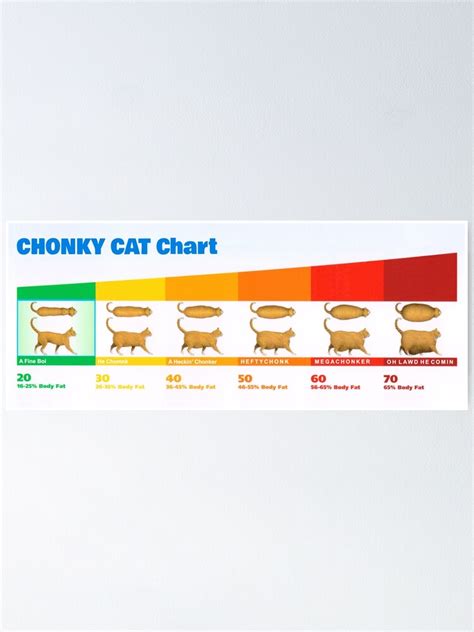 Fat Chonky Cat Chart Chonk Meme Oh Lawd He Comin Poster For Sale By Fomodesigns Redbubble