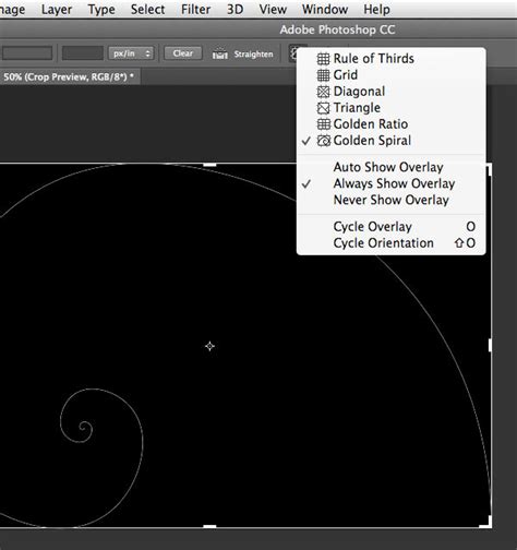Things You Should Know About The Crop Tool Envato Tuts