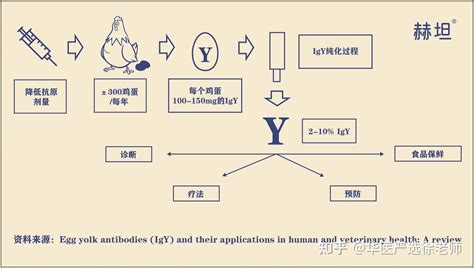 【赫坦科普馆】为什么卵黄球蛋白igy越来越受到关注 知乎