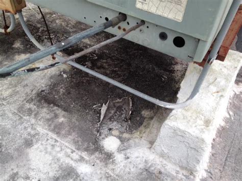 Vic Domhoff On Linkedin You May Want To Share Nicole Gabrielle Lemmond