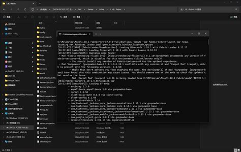 Java 版我的世界 IPv 联机 哔哩哔哩