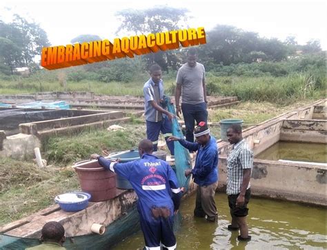 mike bwalya on linkedin food security is really a great concern aiming at understanding how it…