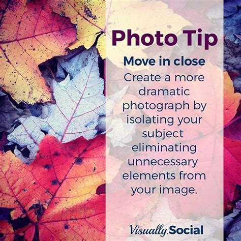 📸 Tip Create A More Dramatic Photograph By Moving In Close Isolating