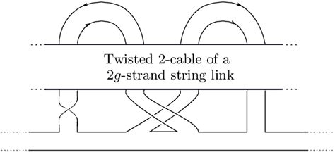 Disk Band Picture Of A General Non Orientable Surface With Even Genus G Download Scientific