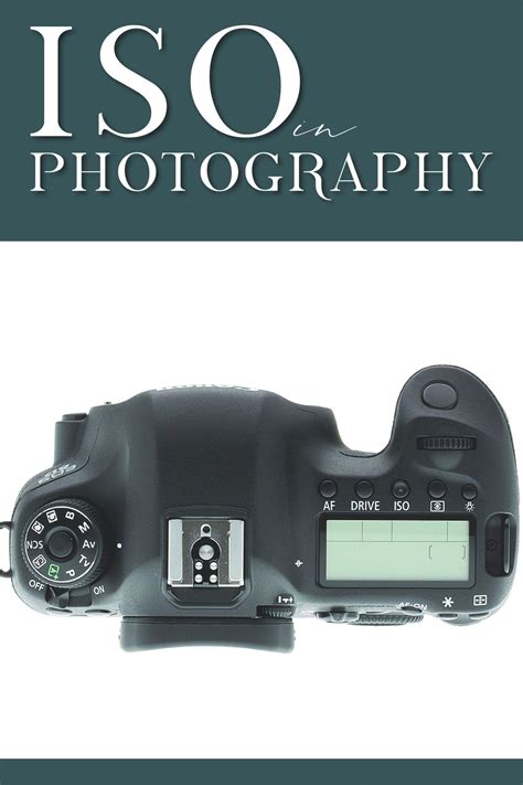 My Favorite Canon Camera Setting How To Set Up Dual Af Buttons Artofit