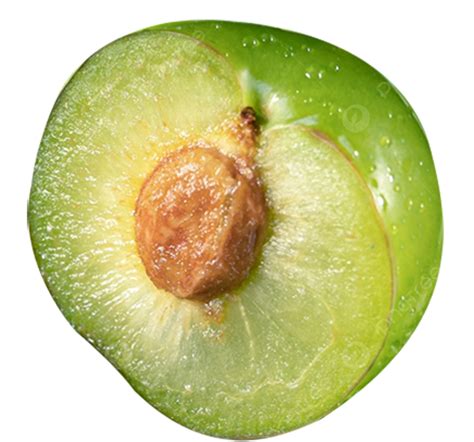 녹색 과일 매실 녹색 과일 열매 과일 Png 일러스트 및 이미지 에 대한 무료 다운로드 Pngtree