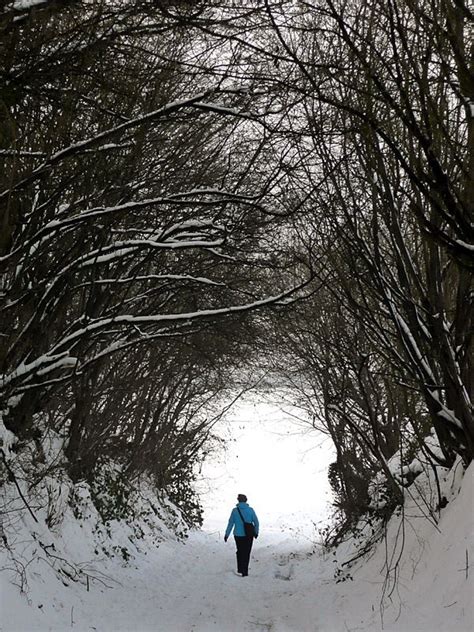 Tunnel Vision A Photo From Flemish Brabant Flanders TrekEarth Tree Tunnel Belgium Flanders