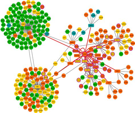 Slideshow Net Cg Src Cute