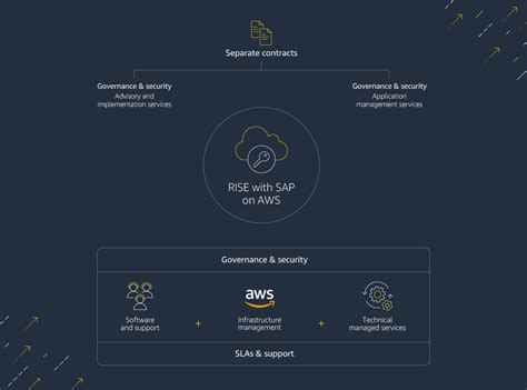 your erp environment your choice rise with sap presents another erp modernization path for aws cus