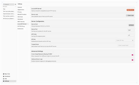 Local Api Server Jan