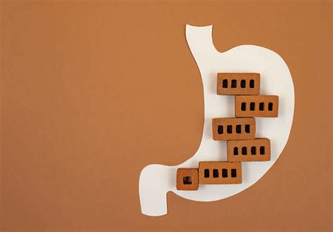 Digestive Enzymes For Bloating And Gas Bioptimizers Blog