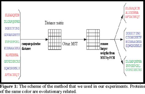 Figure 1 From A Graph Based Clustering Method Applied To Protein Sequences Semantic Scholar